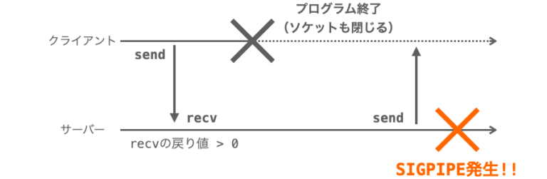 【C言語】ソケット通信プログラムが突然終了する現象の原因と対処法（SIGPIPE） | だえうホームページ